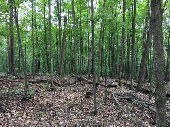 Vanderbilt Real Estate - Vanderbilt MI Homes For Sale | Zillow