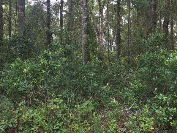 Georgetown Real Estate - Georgetown FL Homes For Sale | Zillow