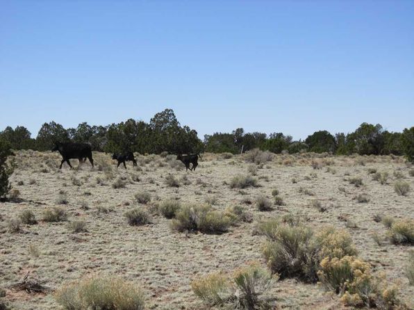 Sanders Real Estate - Sanders AZ Homes For Sale | Zillow