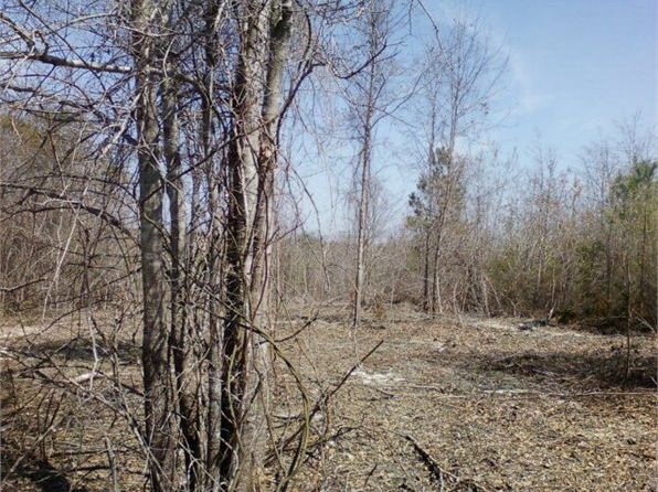 Brantley Real Estate - Brantley AL Homes For Sale | Zillow