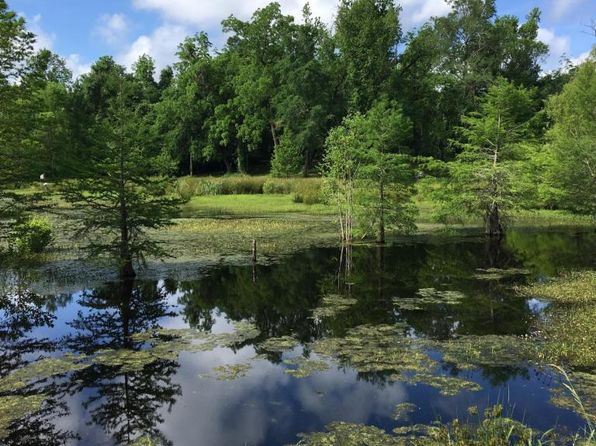 Islandton Real Estate - Islandton SC Homes For Sale | Zillow