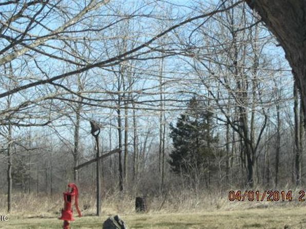 Elsie Real Estate - Elsie MI Homes For Sale | Zillow