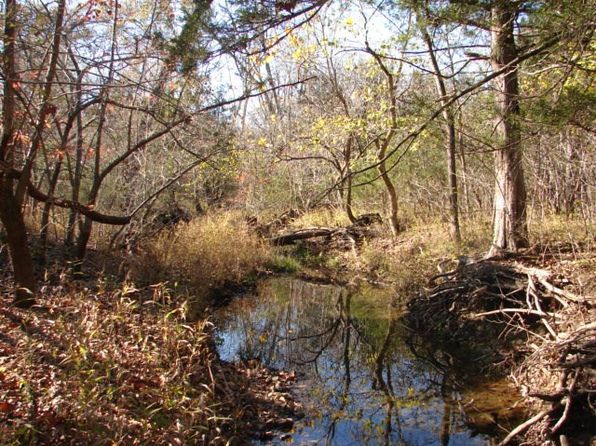 Viola Real Estate - Viola AR Homes For Sale | Zillow