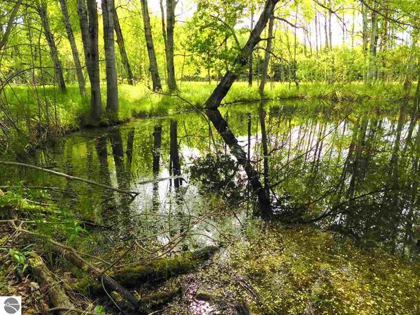 Merritt Real Estate - Merritt MI Homes For Sale | Zillow