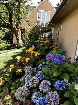 2405 Columbia St, Eugene, OR 97403