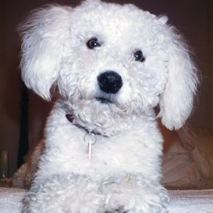 Amanda Zahn | Zillow